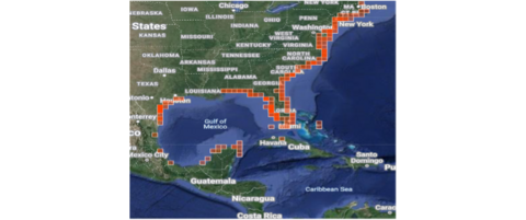 Data Deep Dive with REEF Surveyor Peter Leahy: Web Burrfish vs. Striped ...