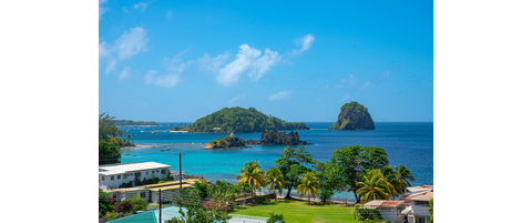 Join us in St. Vincent this Winter! | Reef Environmental Education ...