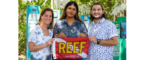 The Faces of REEF: Summer 2023 Marine Conservation Interns | Reef ...