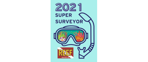 Super Surveyor Challenge | Reef Environmental Education Foundation