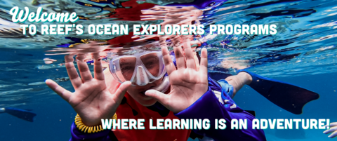 REEF Ocean Explorers Education Programs | Reef Environmental Education ...