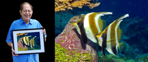 Reef Environmental Education Foundation | Conserving Oceans Through ...