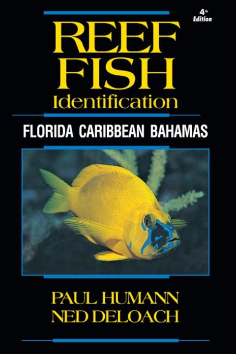 Reef Fish Identification - Florida, Caribbean and Bahamas, 4th edition ...