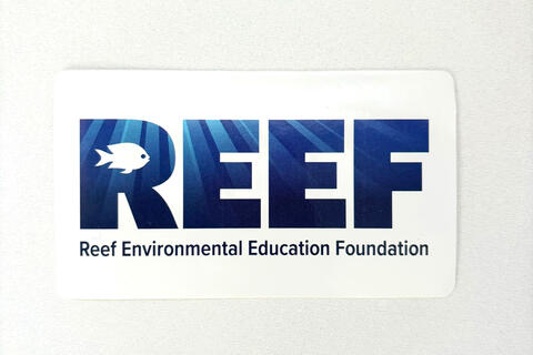 REEF Decal | Reef Environmental Education Foundation