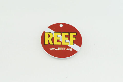 REEF BCD Tag | Reef Environmental Education Foundation