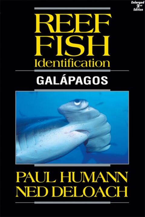 Galapagos Fish Identification | Reef Environmental Education Foundation