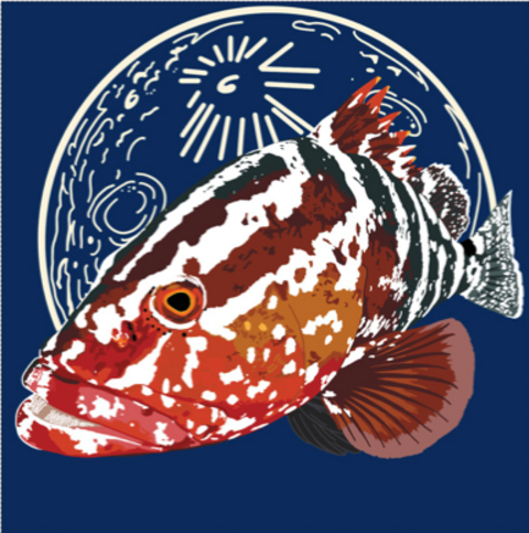 REEF Grouper Moon Project T-shirt | Reef Environmental Education Foundation