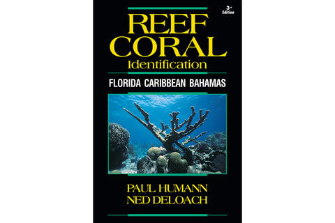 Reef Coral Identification, 3rd edition - Florida, Caribbean and Bahamas ...