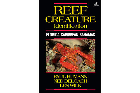 Reef Creature Identification, 3rd edition - Florida, Caribbean, and ...