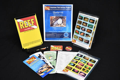 PNW - Starter Kit | Reef Environmental Education Foundation