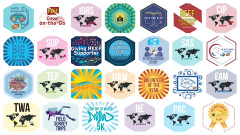 Conservation Challenge Stickers | Reef Environmental Education Foundation