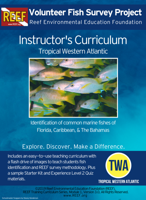 marine identification