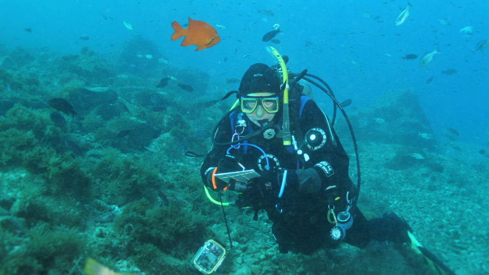 Reef Environmental Education Foundation | Conserving Oceans Through ...