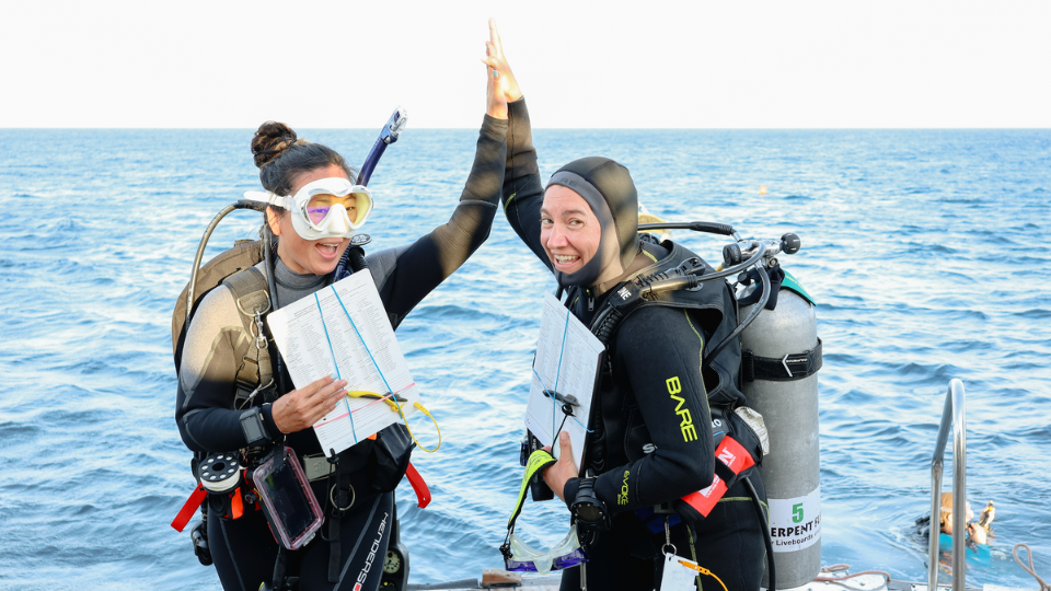 Reef Environmental Education Foundation | Conserving Oceans Through ...