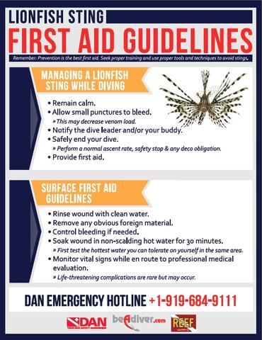 New Lionfish Sting First Aid Poster Released | Reef Environmental ...