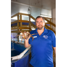 REEF Fish & Friends | Reef Environmental Education Foundation